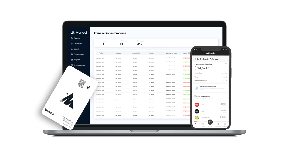 Mendel | La plataforma que mantienes las finanzas corporativas bajo ...